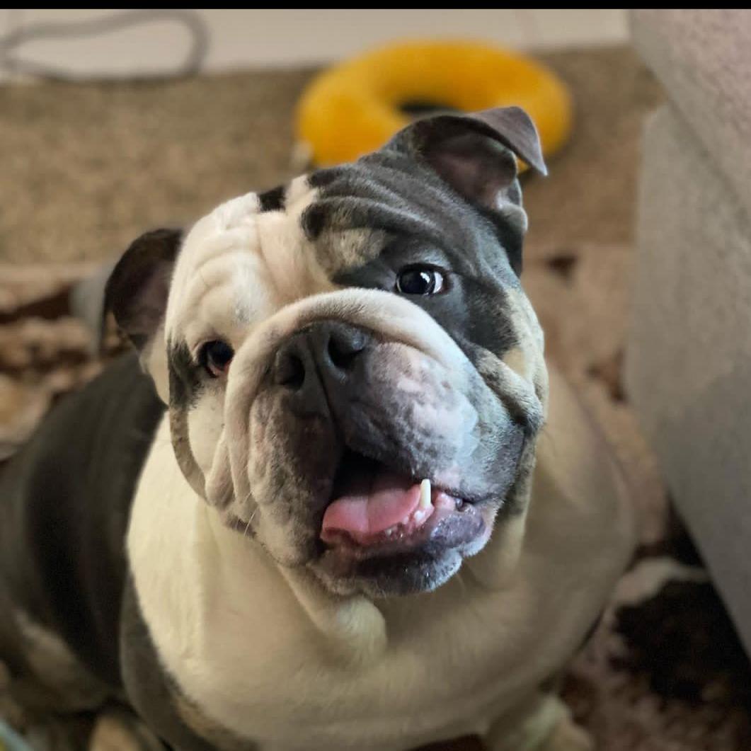 Diesel ray Sanders Obituary